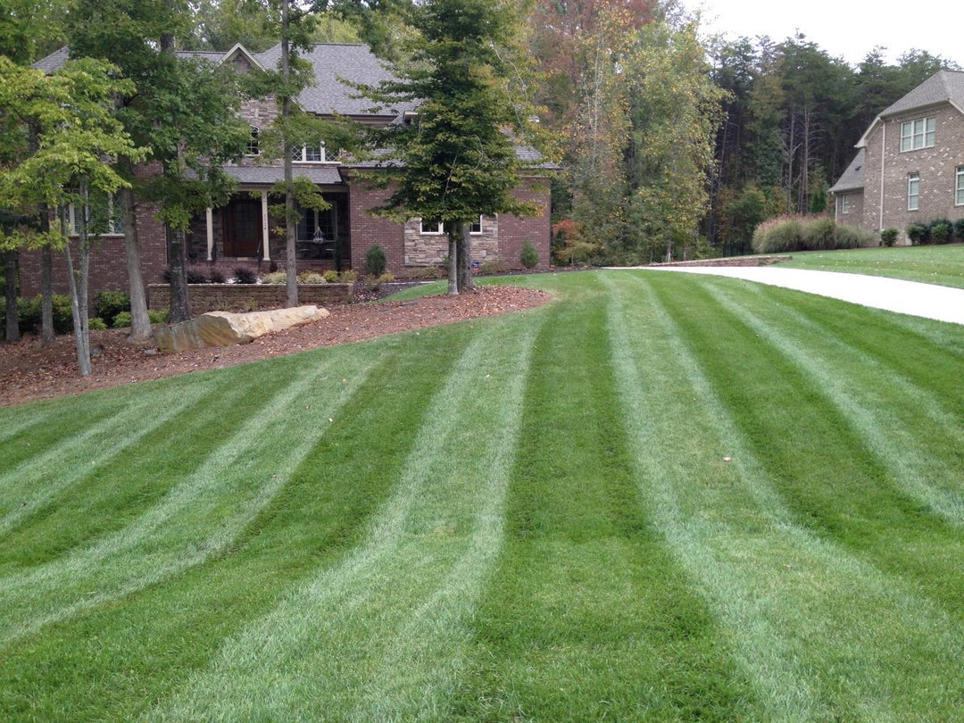 Gallery – GCI Turf Services