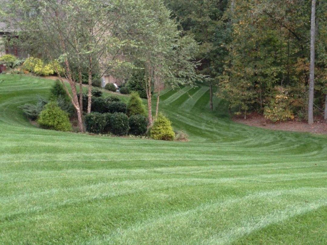 Gallery – GCI Turf Services