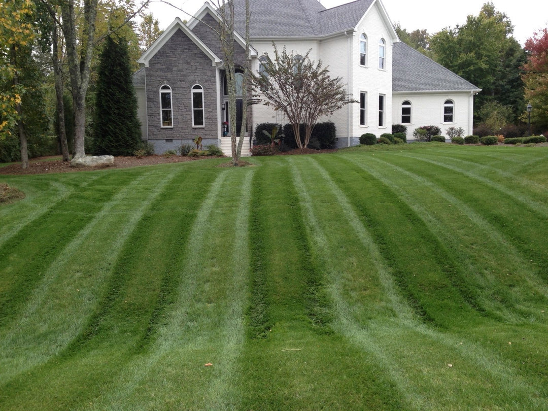 Gallery – GCI Turf Services