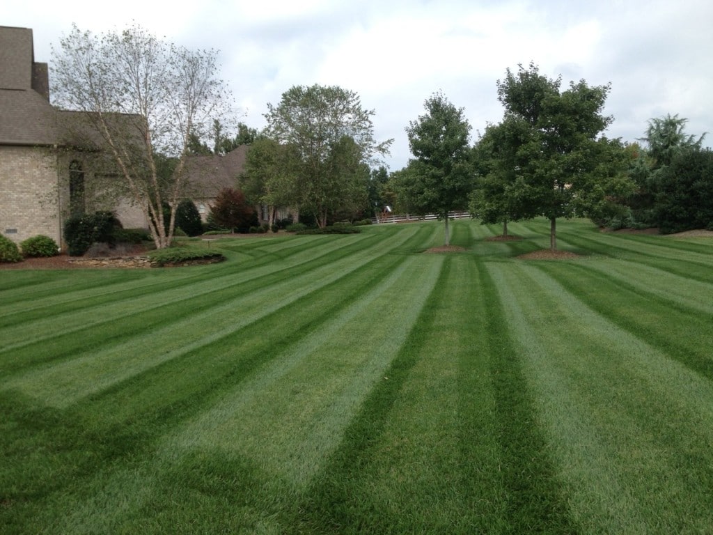 Gallery – GCI Turf Services