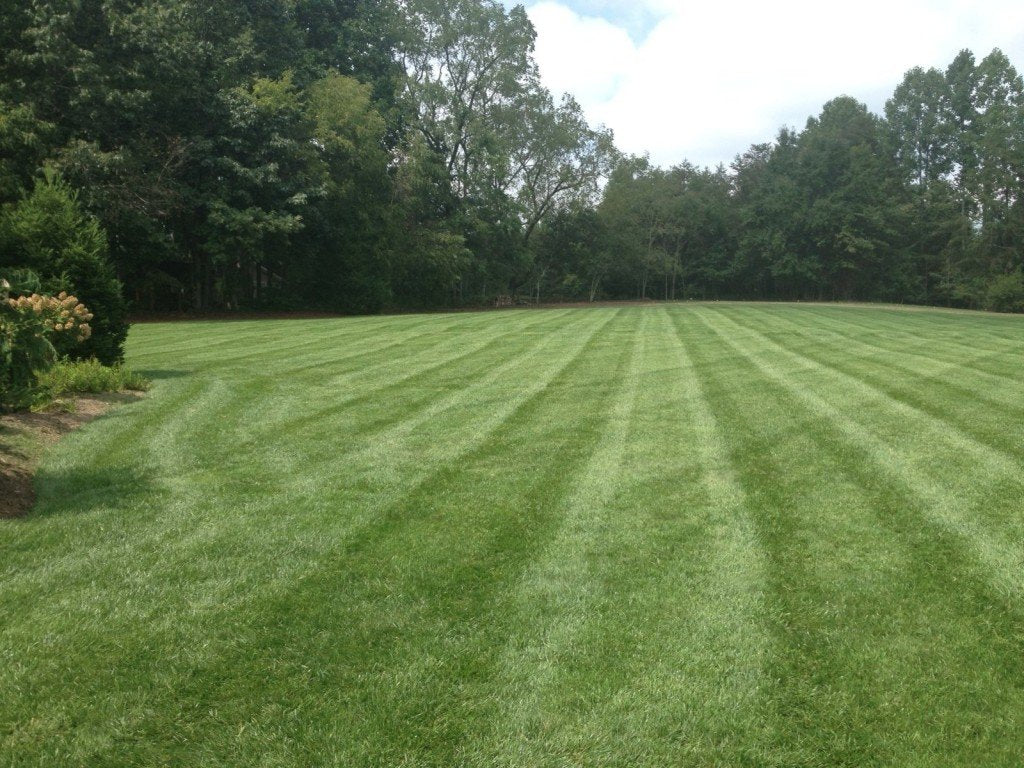 Gallery – GCI Turf Services